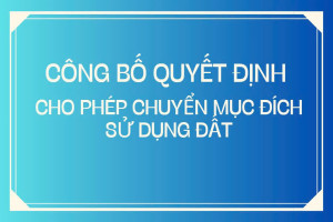 TĂNG CƯỜNG BẢO VỆ HỆ THỐNG CÁP ĐIỆN, CÁP QUANG TRÊN CÁC TUYẾN ĐƯỜNG CAO ...